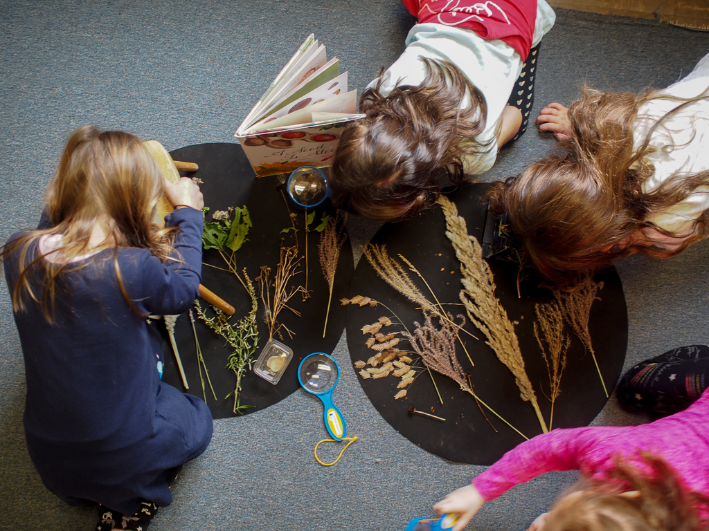Home - Sprout House Nursery School Chatham, NJ